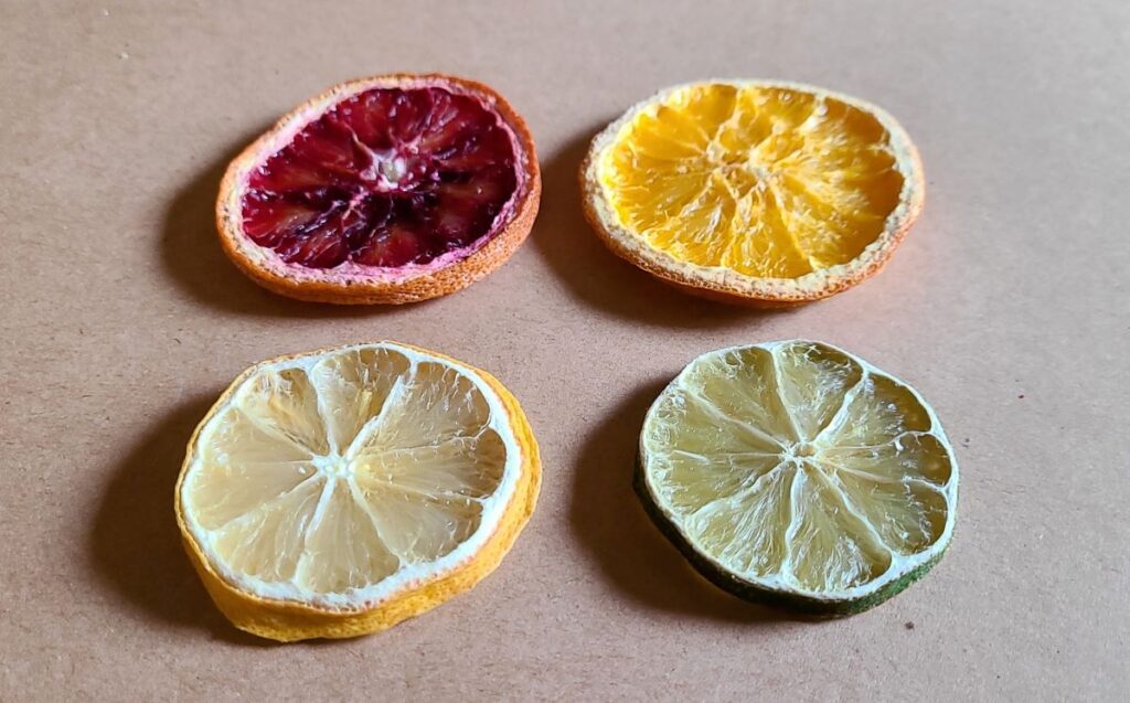 Craft An Easy And Radiant Citrus Suncatcher with Dried Fruit - Inspired ...